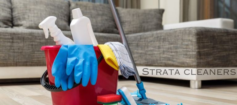 What are the Specialties of Our Local House Cleaners?